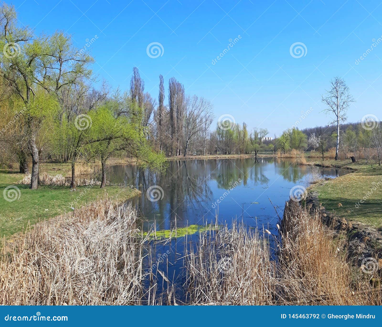 Clear Lake in the Spring and Blue Sky Stock Photo - Image of river ...