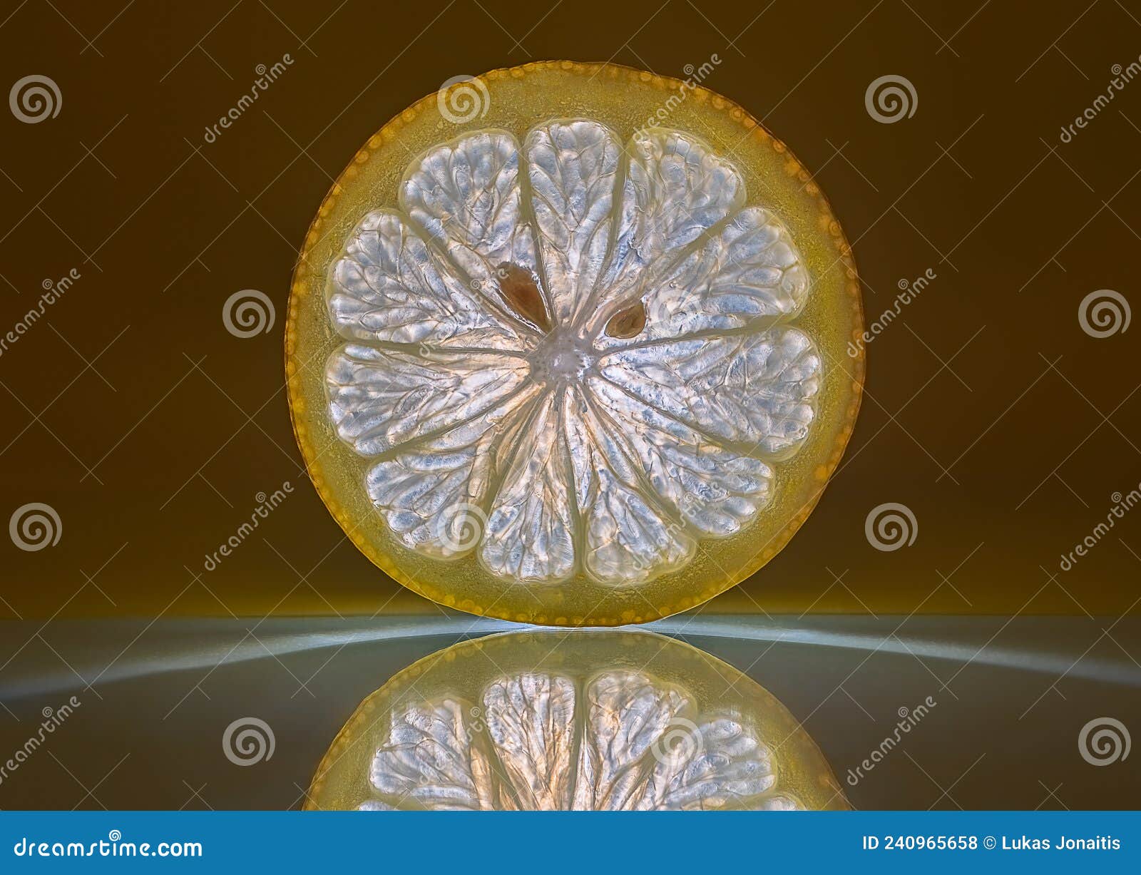 Clear Lemon Slice on Glass with Reflection Stock Photo - Image of peel ...