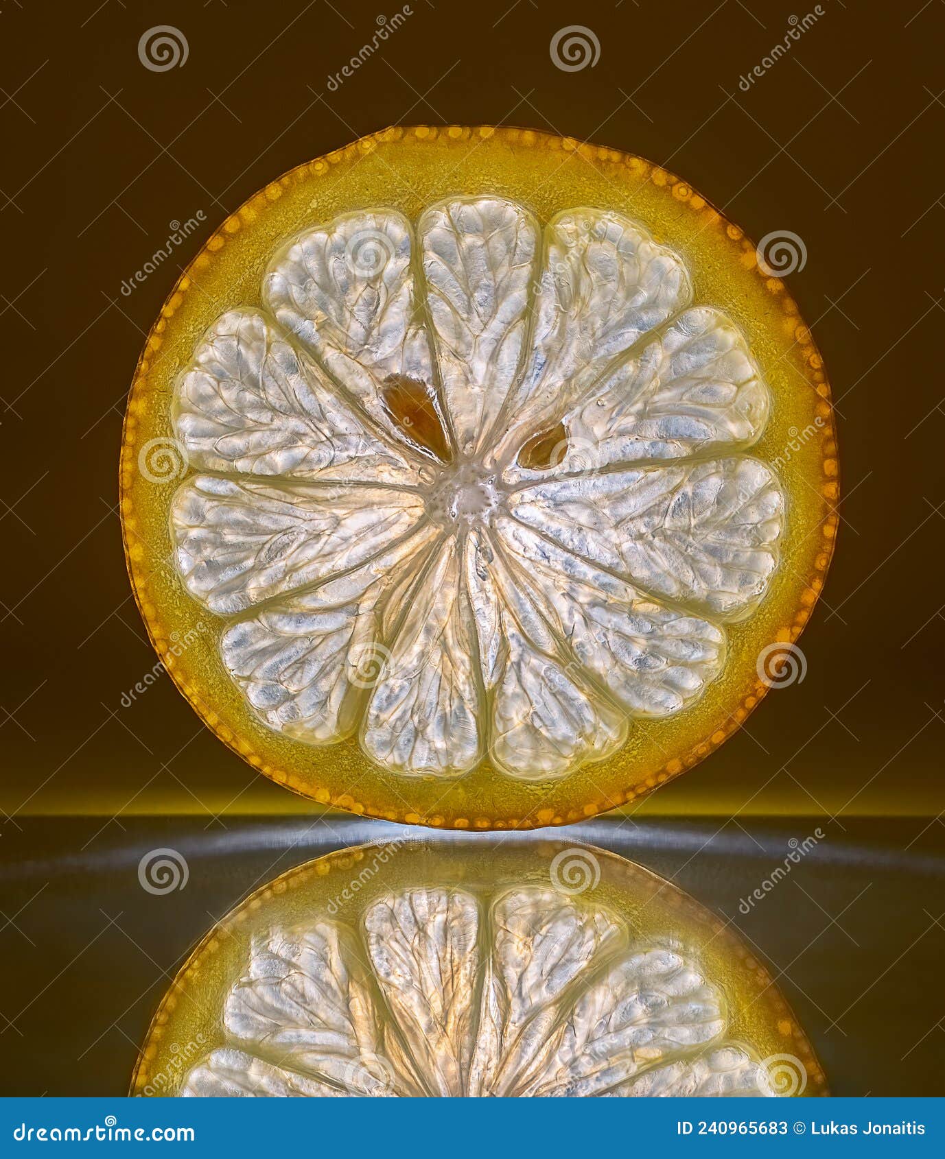 Clear Lemon Slice on Glass with Reflection Stock Image - Image of ...