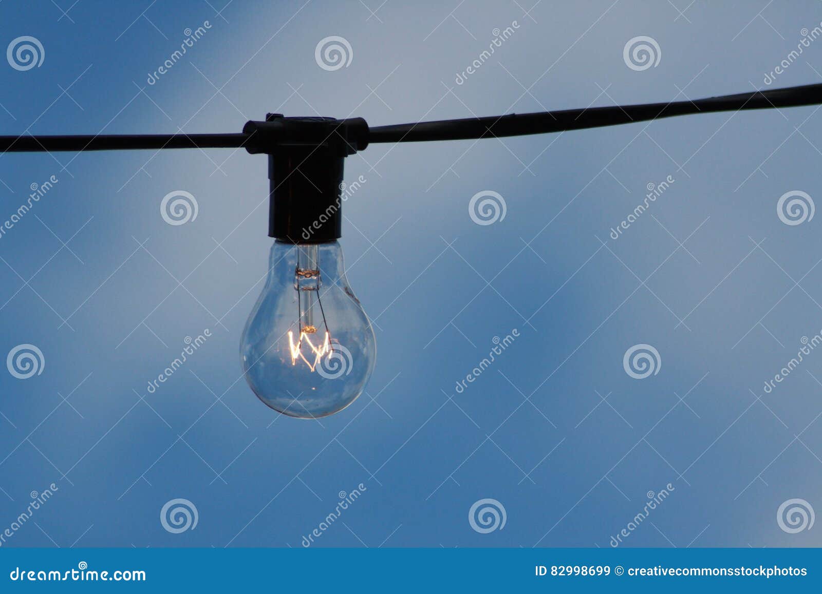 Clear Light Bulb On Wire Picture. Image: 82998699
