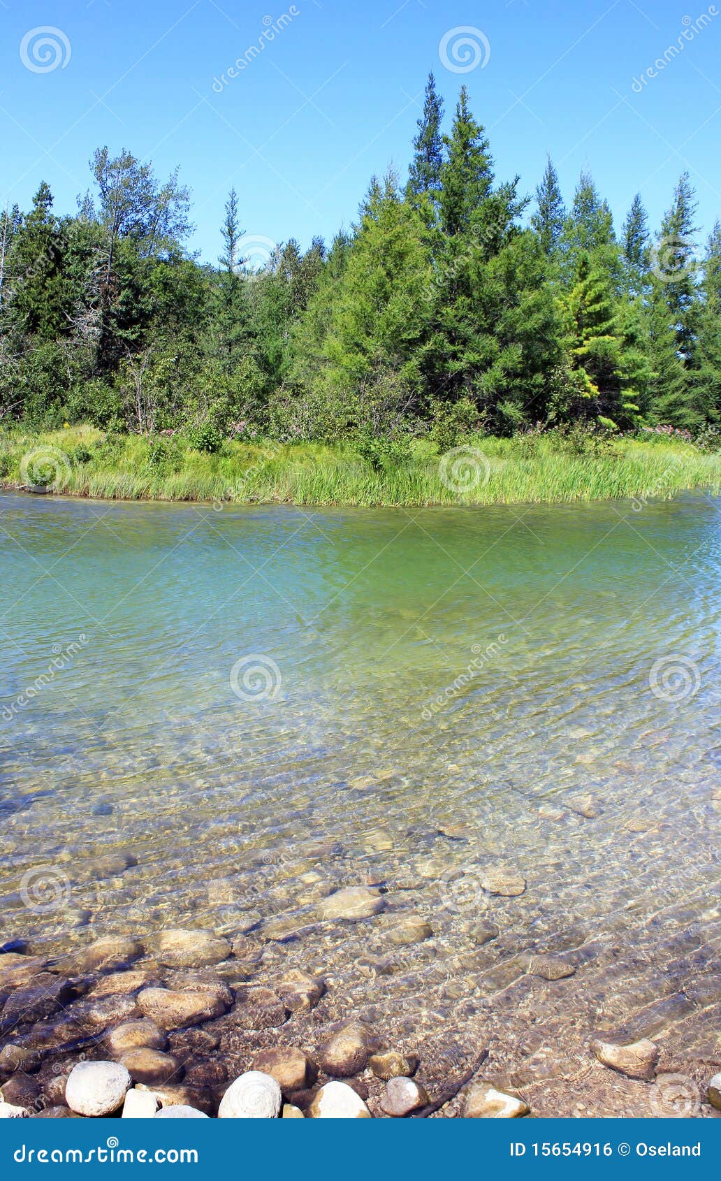 Clear Michigan River stock photo. Image of lakeshore - 15654916