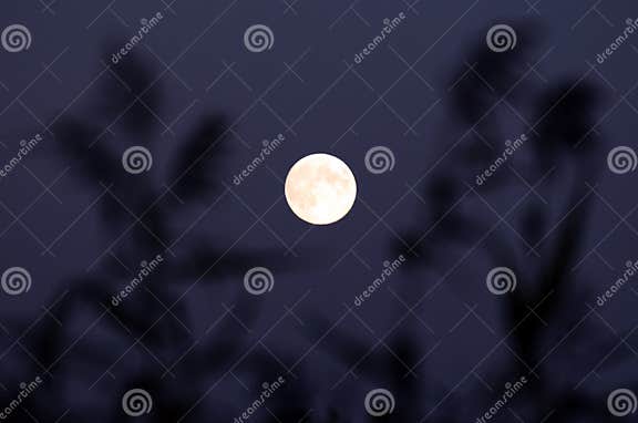 A Clear Moon stock image. Image of fullmoon, scary, solar - 26926213