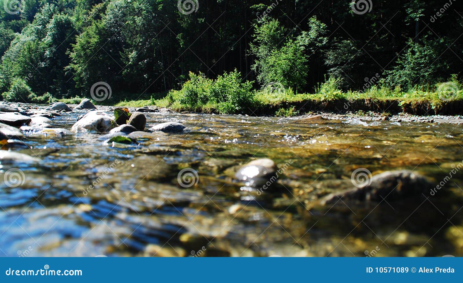 Clear Mountain Stream stock image. Image of chilly, flow - 10571089