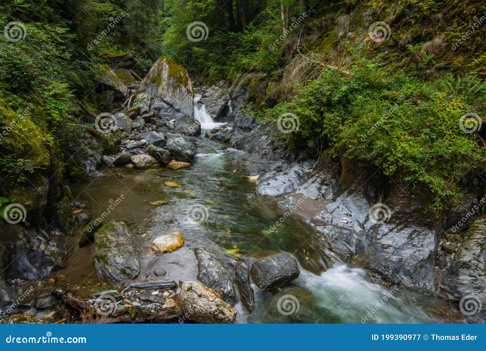 Clear Mountain Torrent with Rocks in the Forest Stock Image - Image of ...