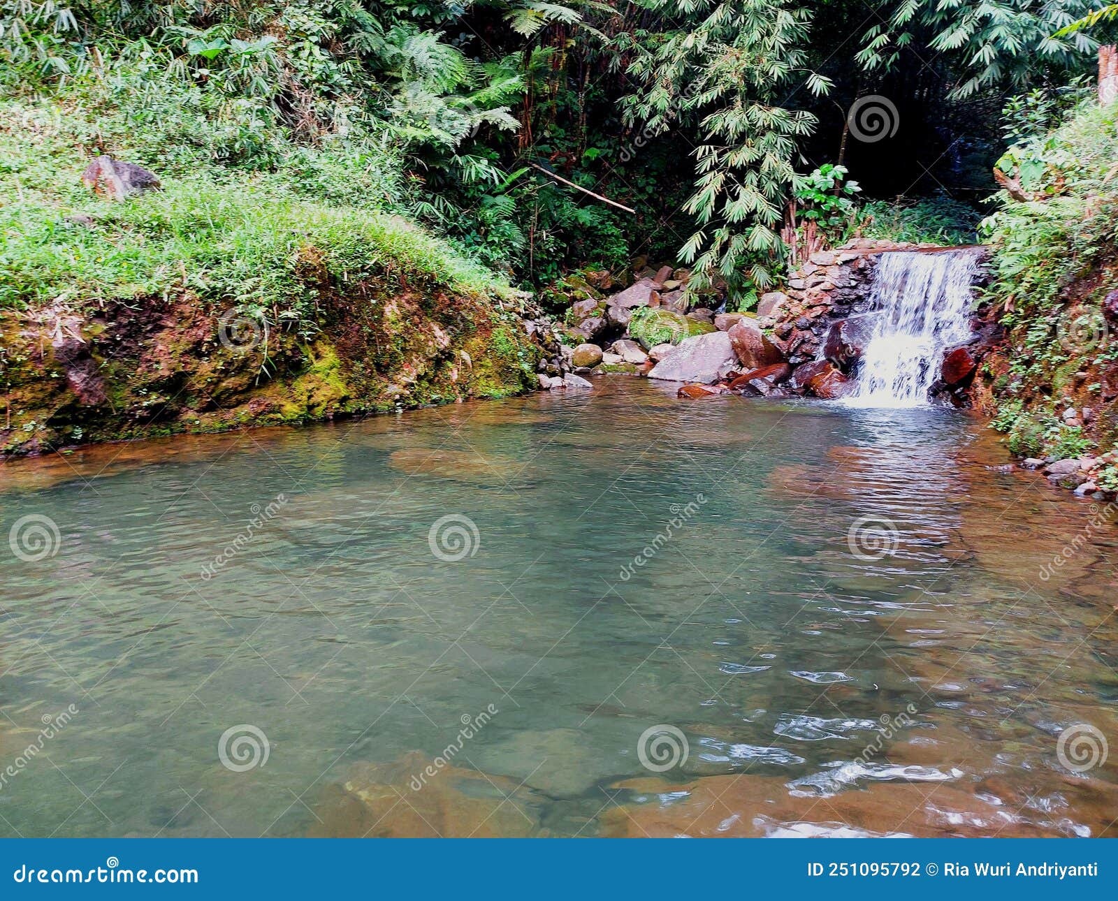 Clear Natural Pool with Waterfall Stock Photo - Image of reflection ...
