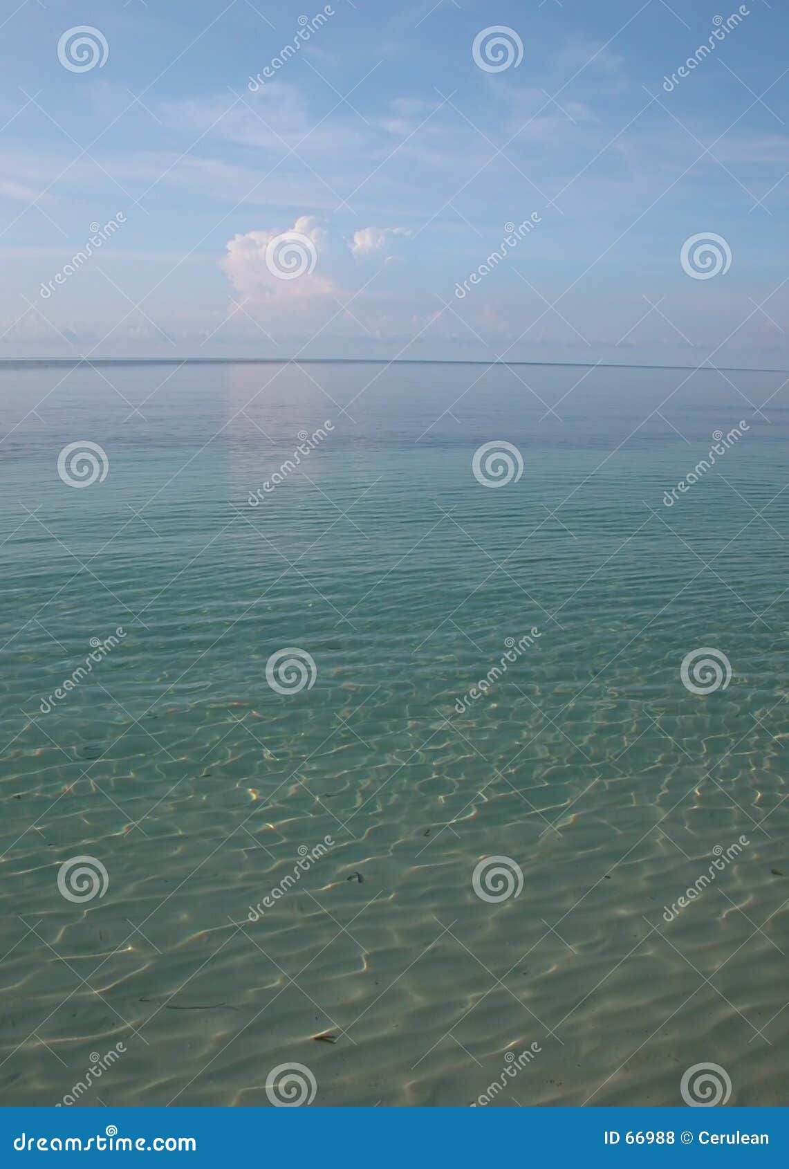 Clear Ocean stock photo. Image of wonder, tropics, determination - 66988