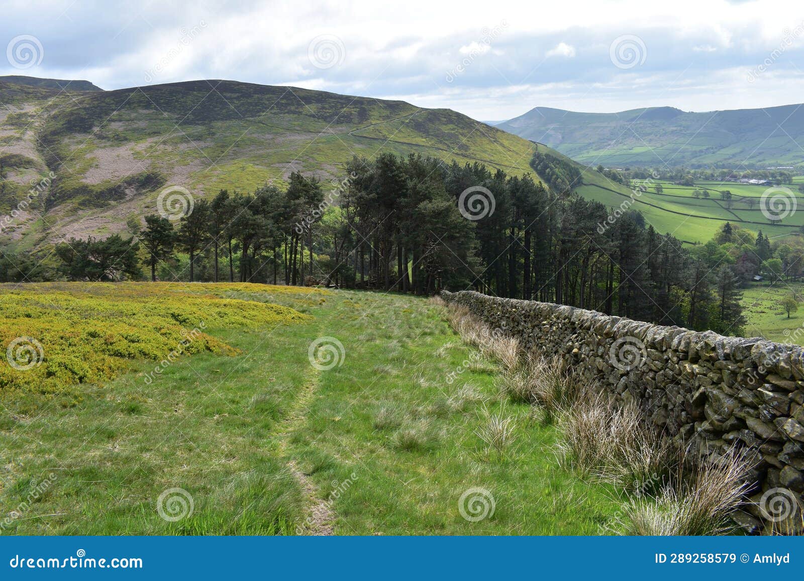 Looking Down Path by Wall Leading To Trees Stock Image - Image of ...