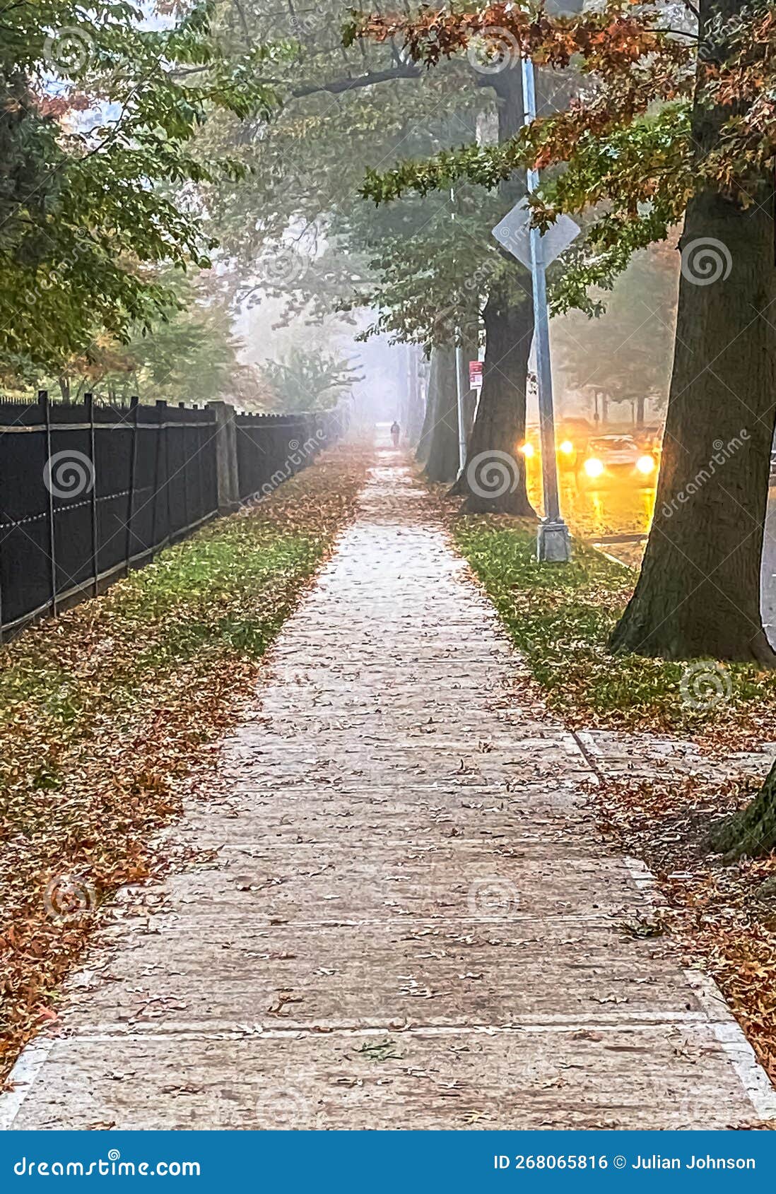 Clear Pathway into the Mist Stock Photo - Image of mysterious, morning ...