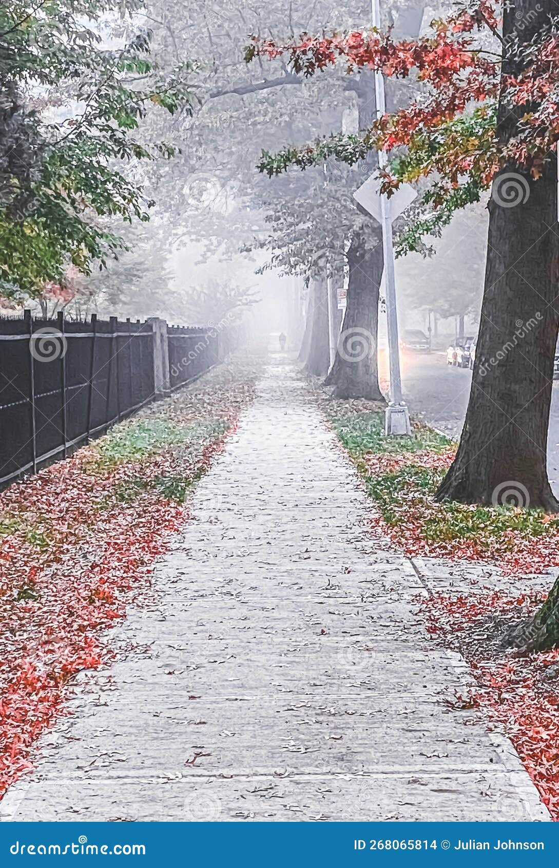 Clear Pedestrian Pathway into the Mist Ahead. Stock Photo - Image of ...