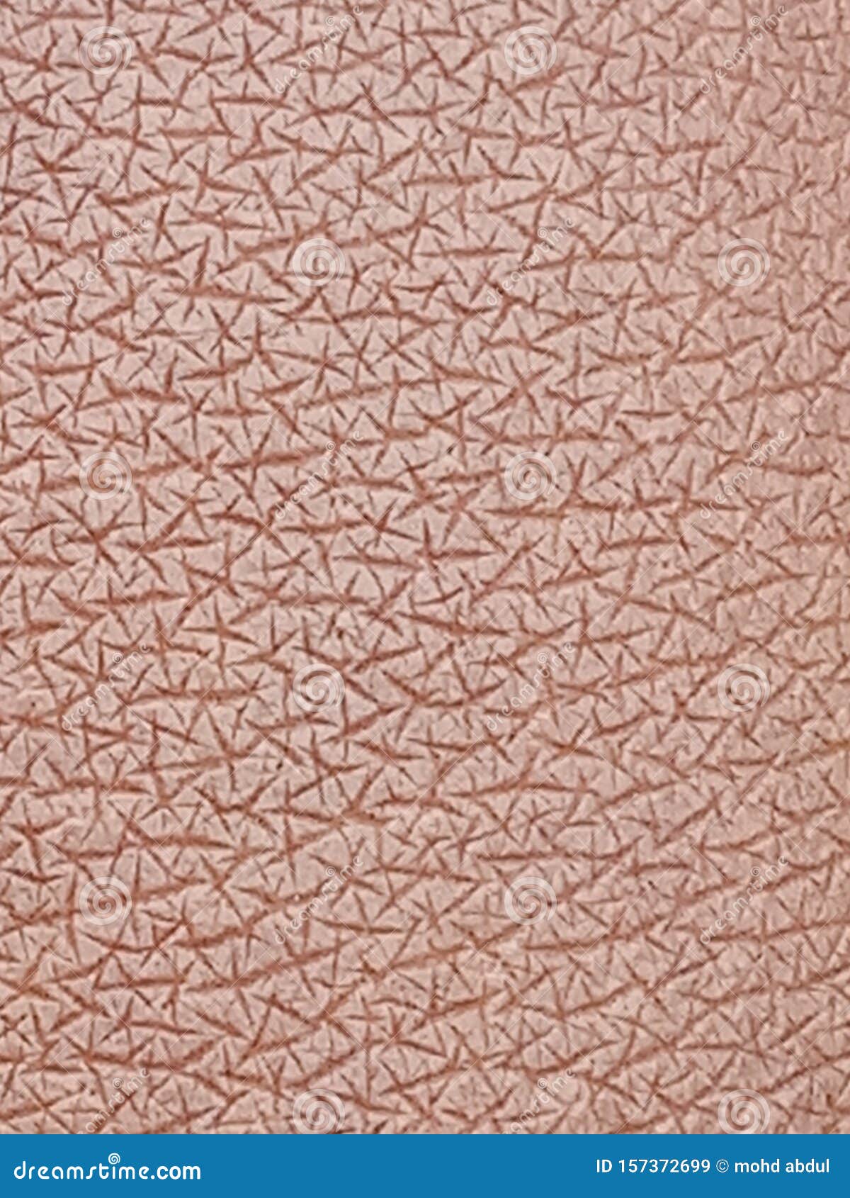 A Clear Picture of the Skin Shape Structure Stock Image - Image of ...