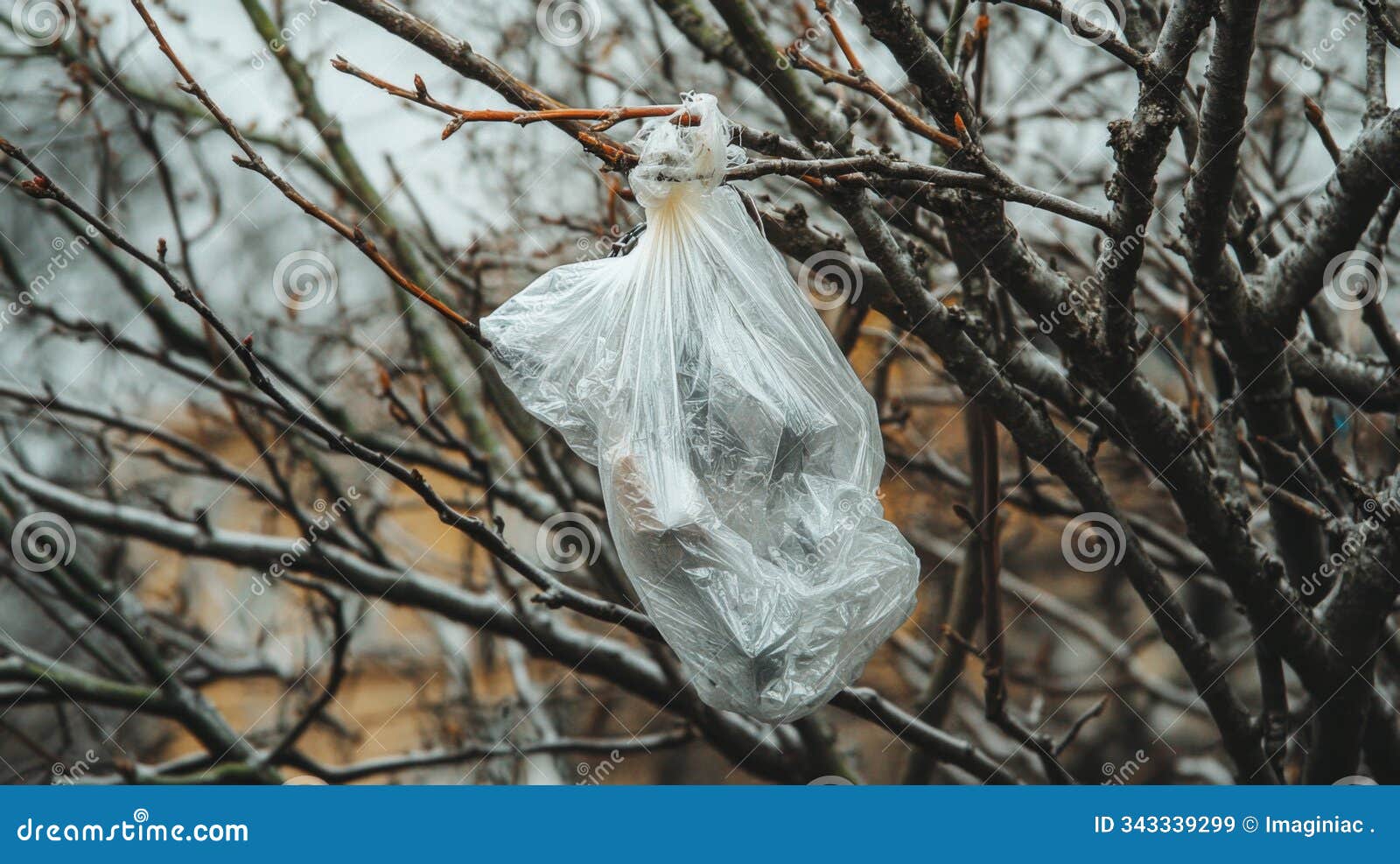 A Clear Plastic Bag Caught on Bare Tree Branches Stock Illustration ...