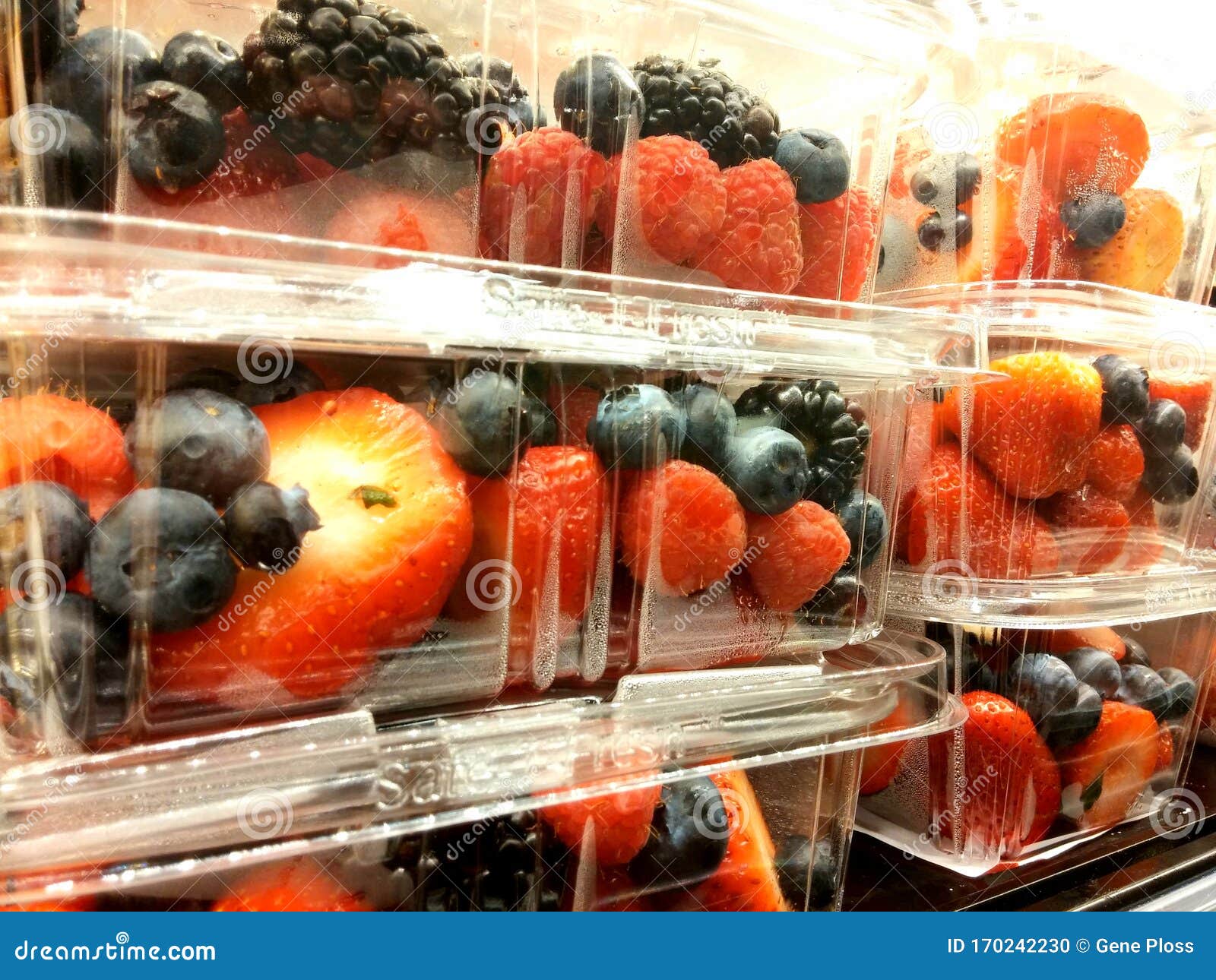 Clear Plastic Clamshell Containers of Fresh Ripe Berries Stock Photo ...