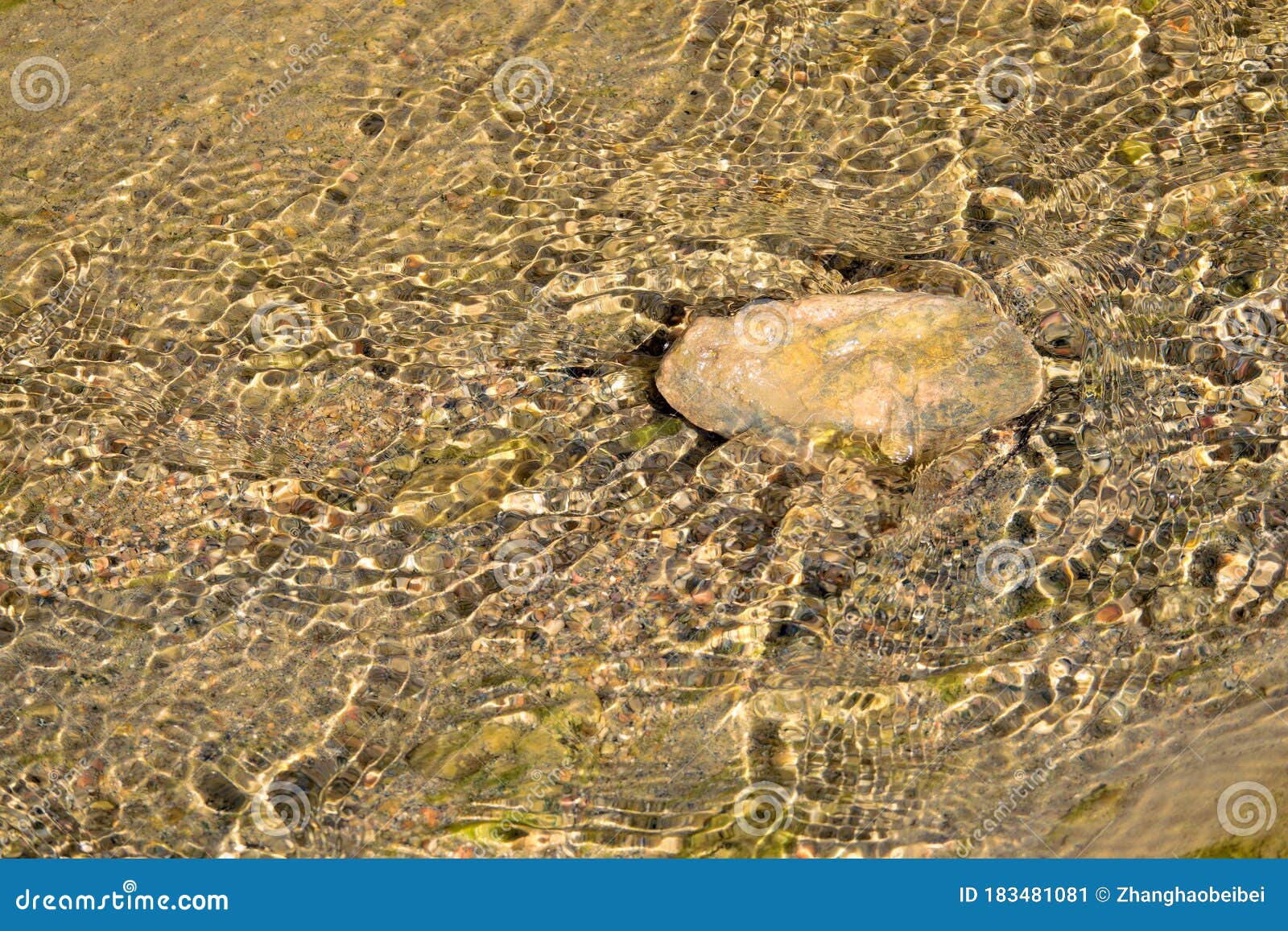 Clear ravine stream stock image. Image of flow, rivulet - 183481081