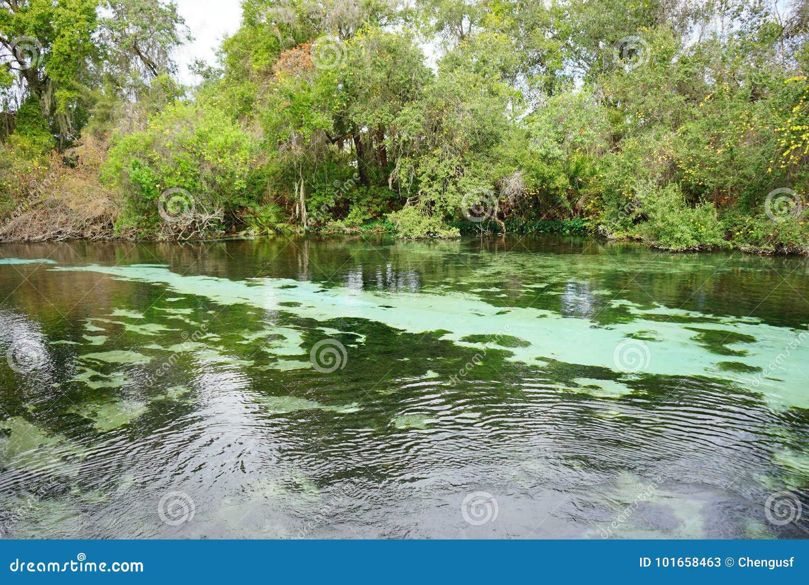 Clear river stock image. Image of background, clear - 101658463