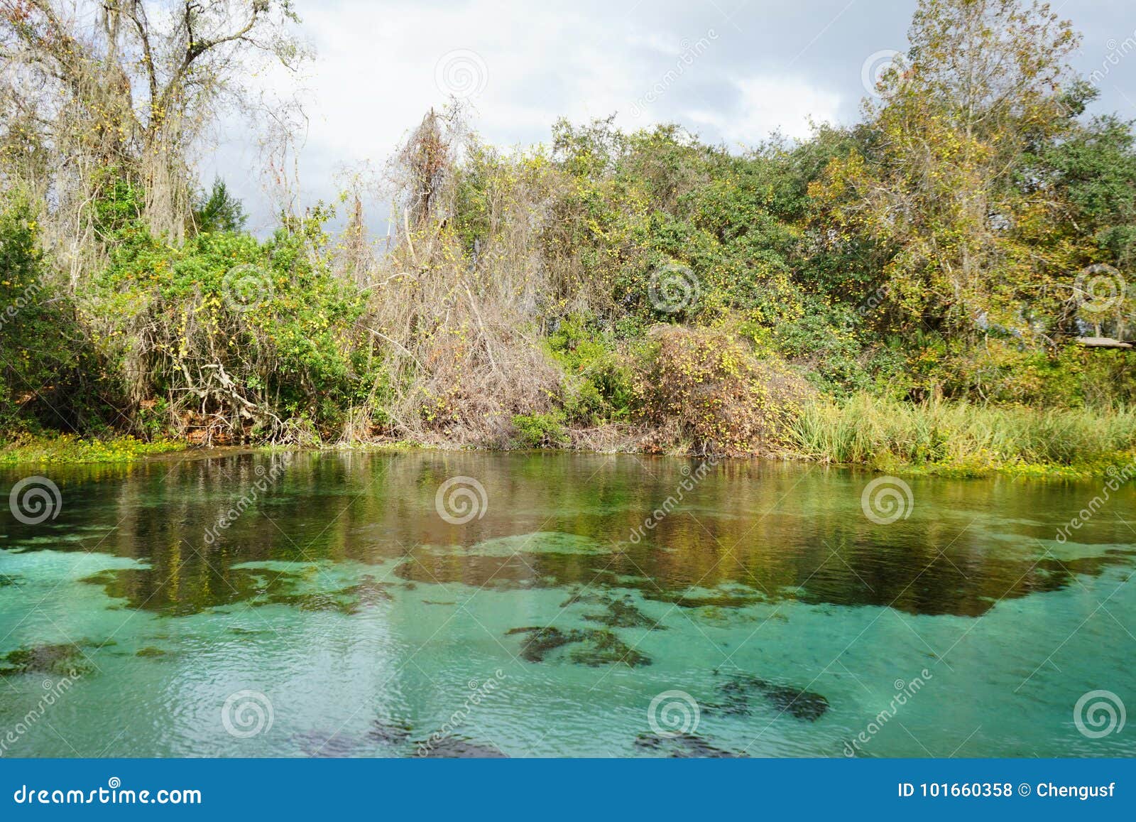 Clear river stock photo. Image of colourful, gorgeous - 101660358