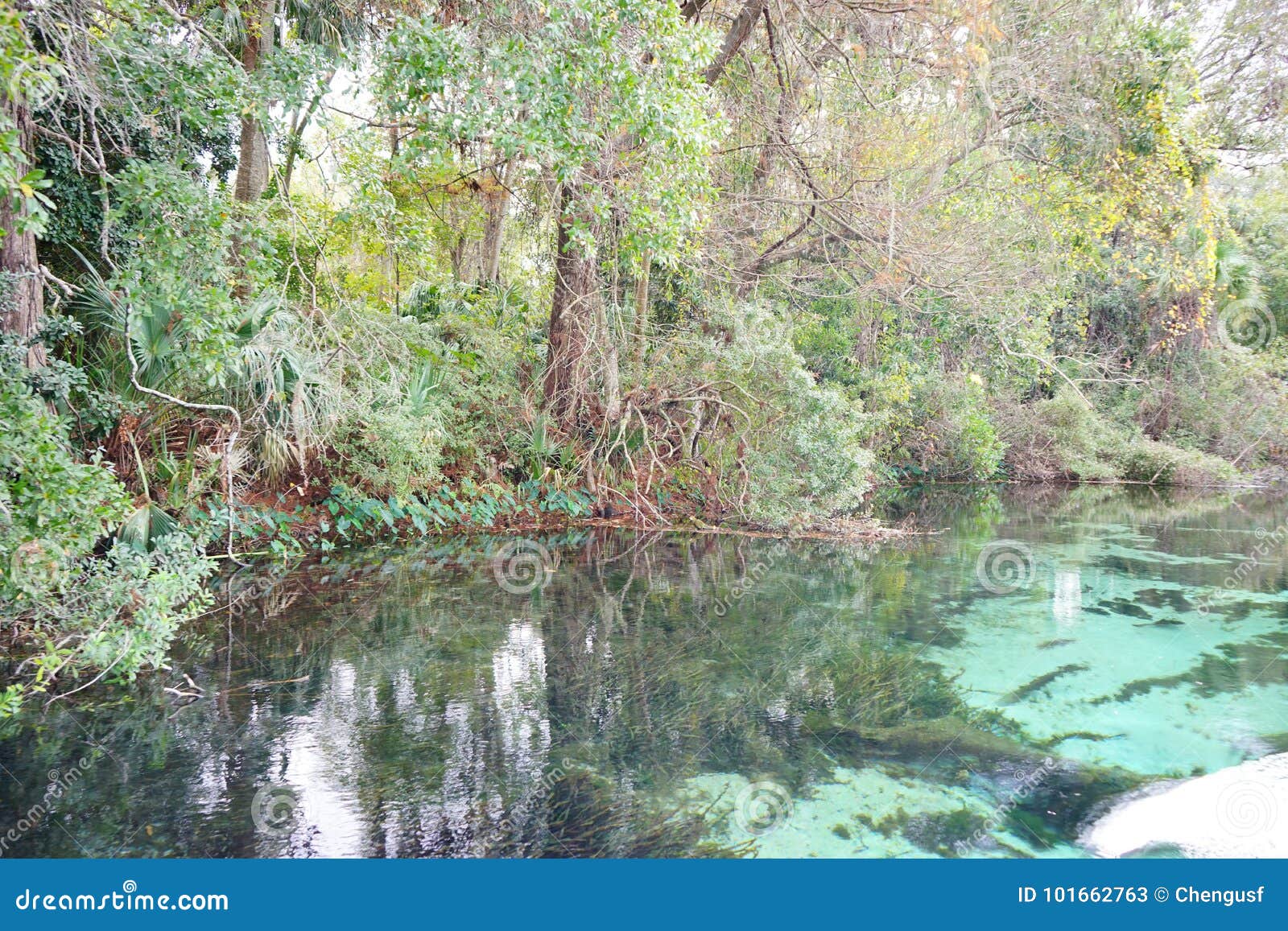 Clear river stock image. Image of attention, grand, gorgeous - 101662763