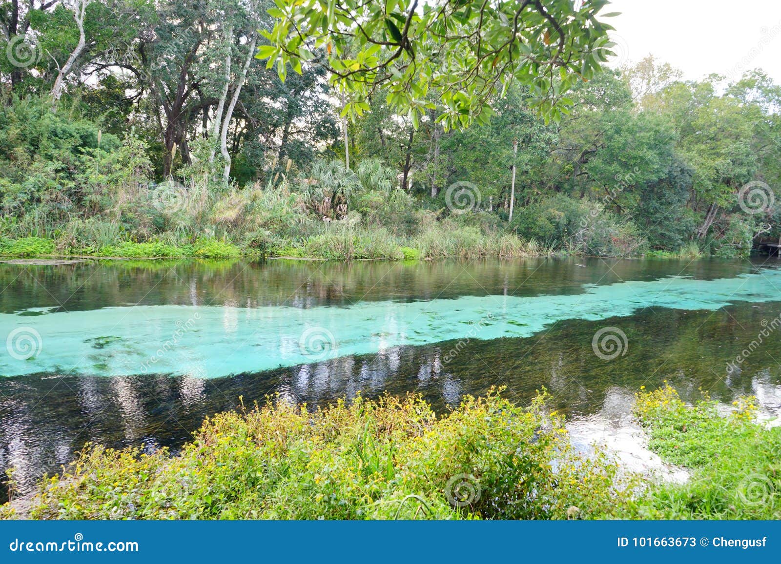 Clear river stock image. Image of attraction, destination - 101663673