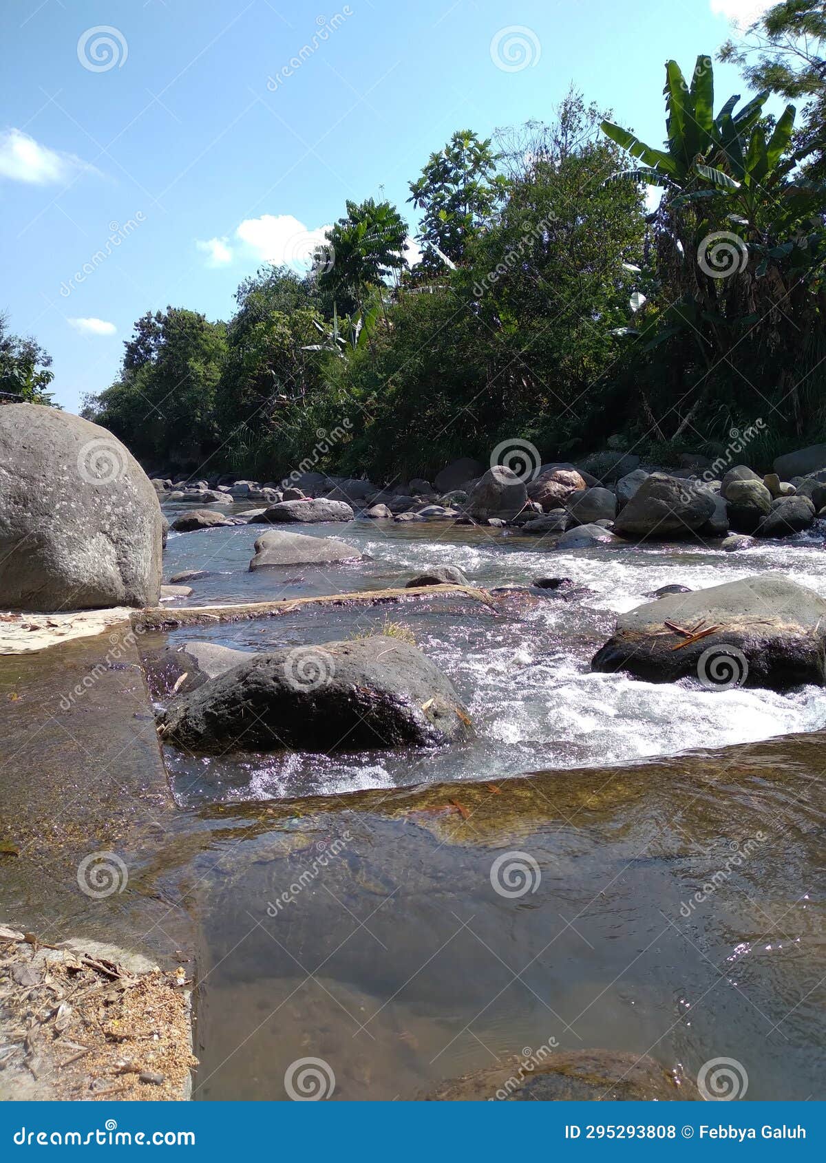 Clear River Full of Rocks and Fish. Stock Photo - Image of wildlife ...