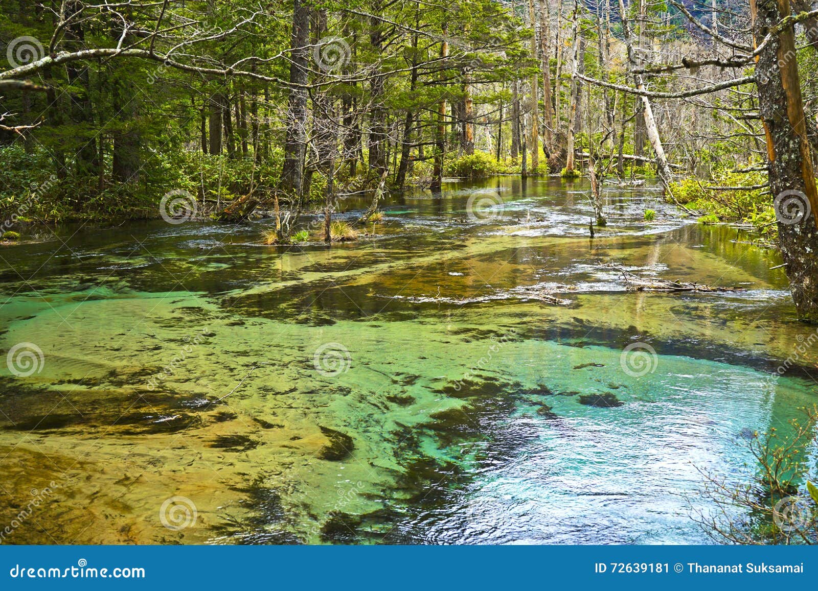 Clear River Emerges From A Small Cave Royalty-Free Stock Image ...