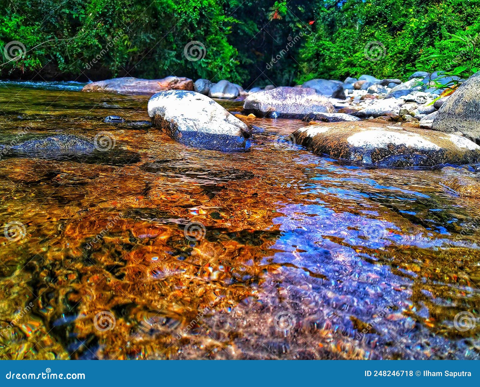 A Clear River in the Middle of the Forest Stock Photo - Image of ...