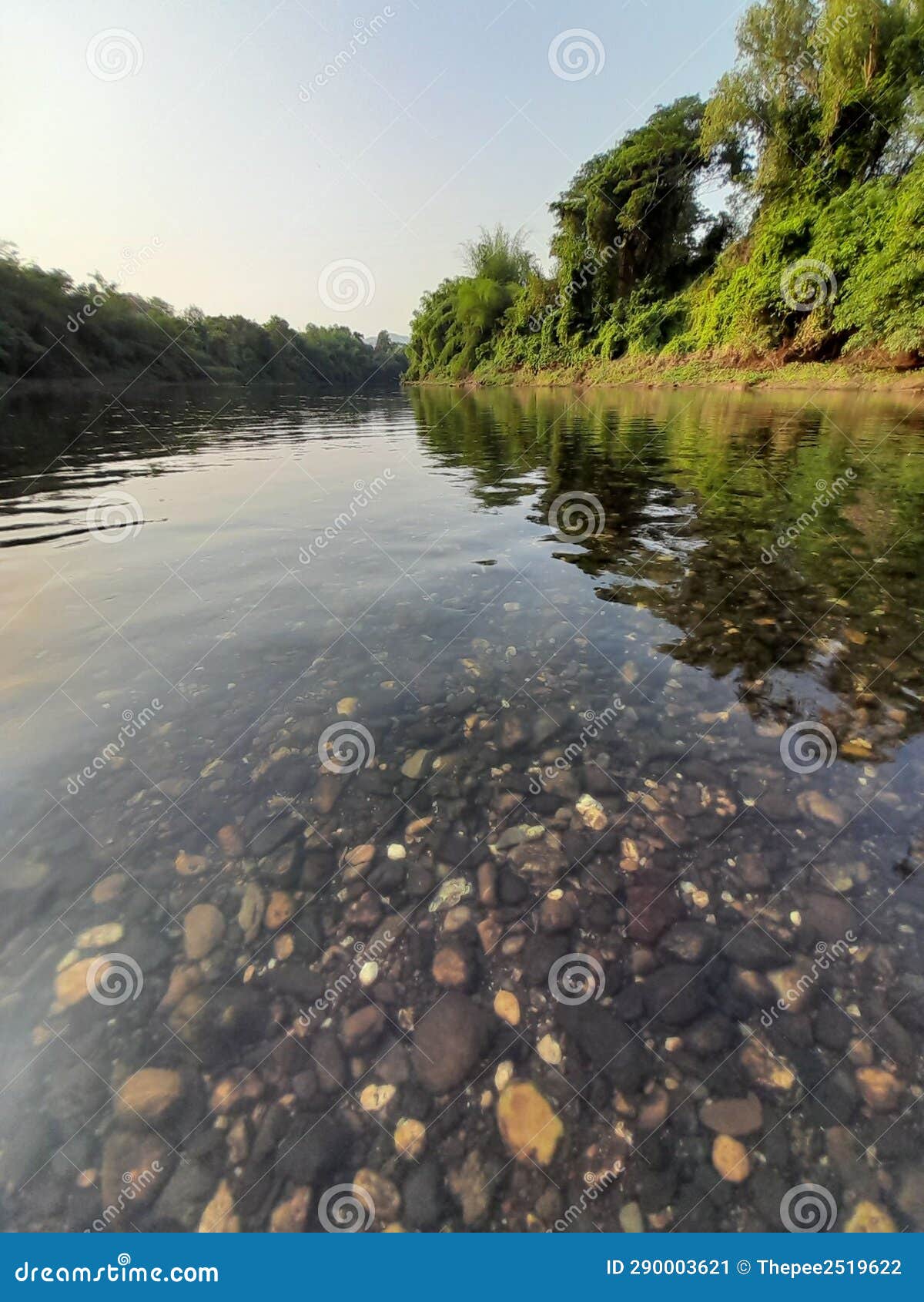 A clear river stock image. Image of river, riverclear - 290003621