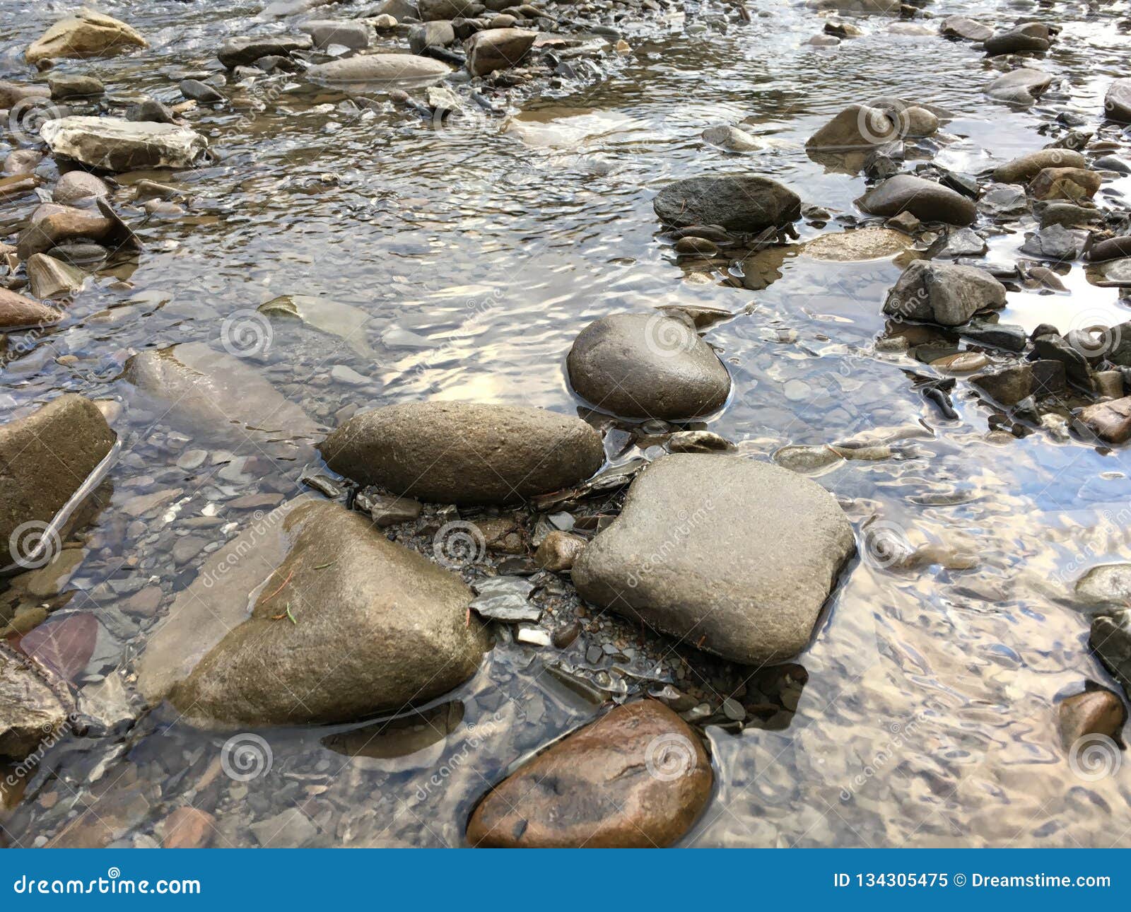 Clear river with rocks stock image. Image of canada - 134305475