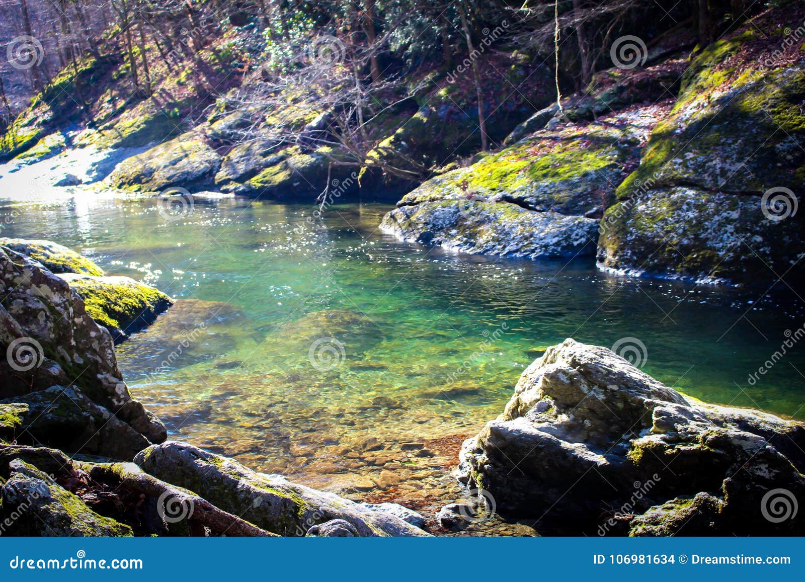 Clear River in the Smoky Mountains Stock Photo - Image of laying ...