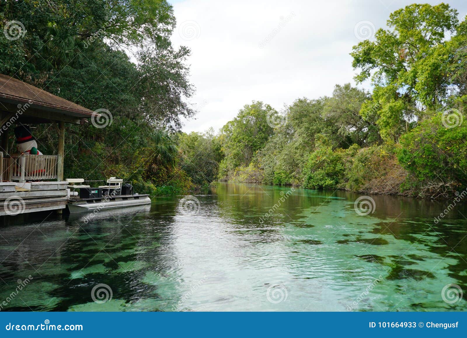 Clear river stock image. Image of food, beautiful, brilliant - 101664933