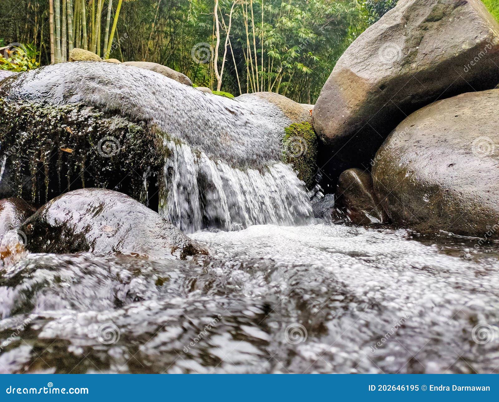 Clear river water stock image. Image of winter, watercourse - 202646195