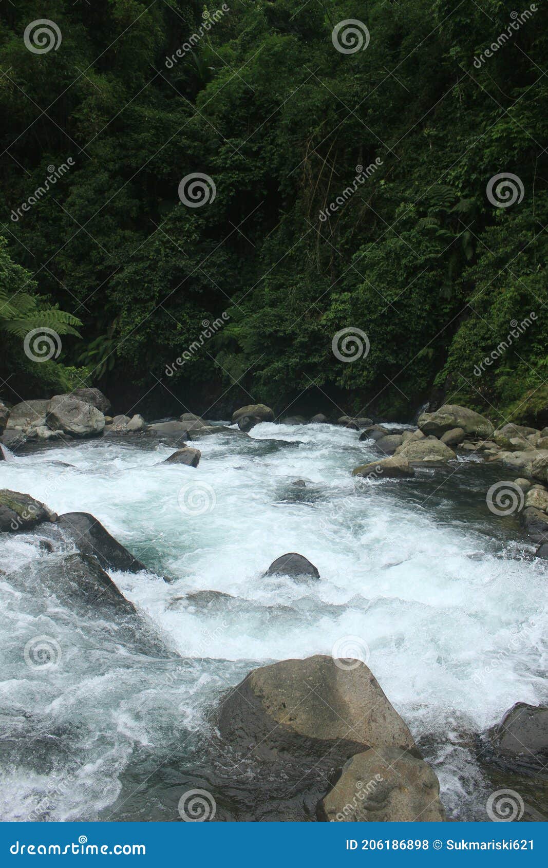 Clear River Water Flow Beautiful Stock Photo - Image of camping ...