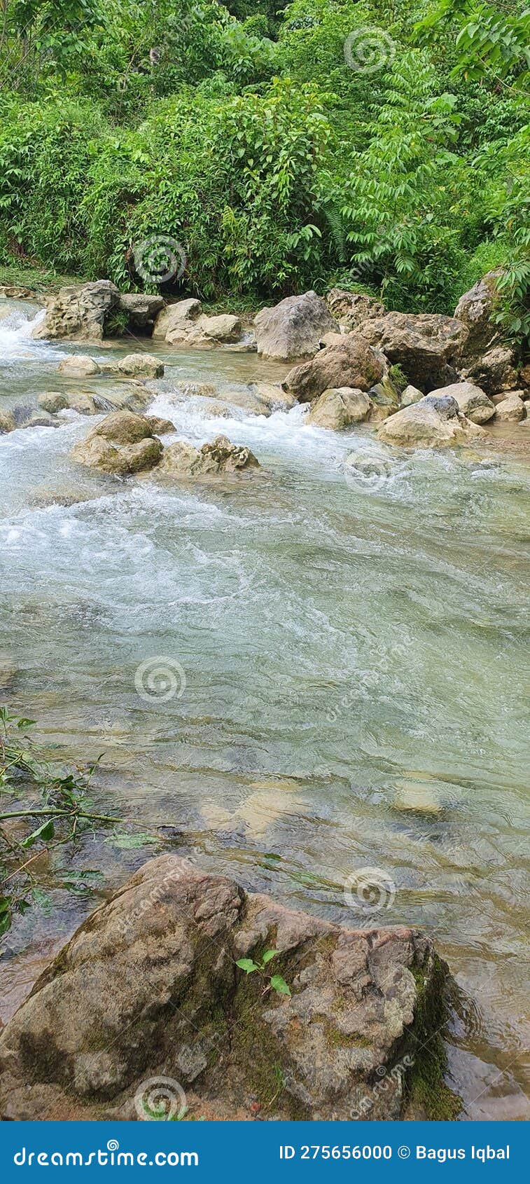 Clear River Water Flowing Quickly Stock Photo - Image of water, clear ...