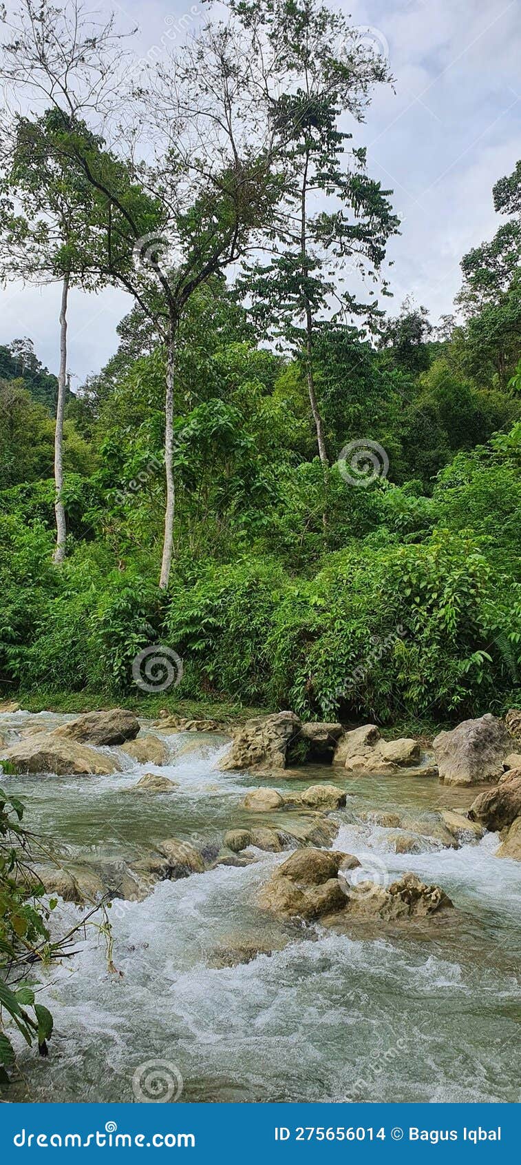 Clear River Water Flowing Quickly Stock Photo - Image of clear, river ... Clear River Water Flowing Quickly Stock Photo - Image of clear, river ...