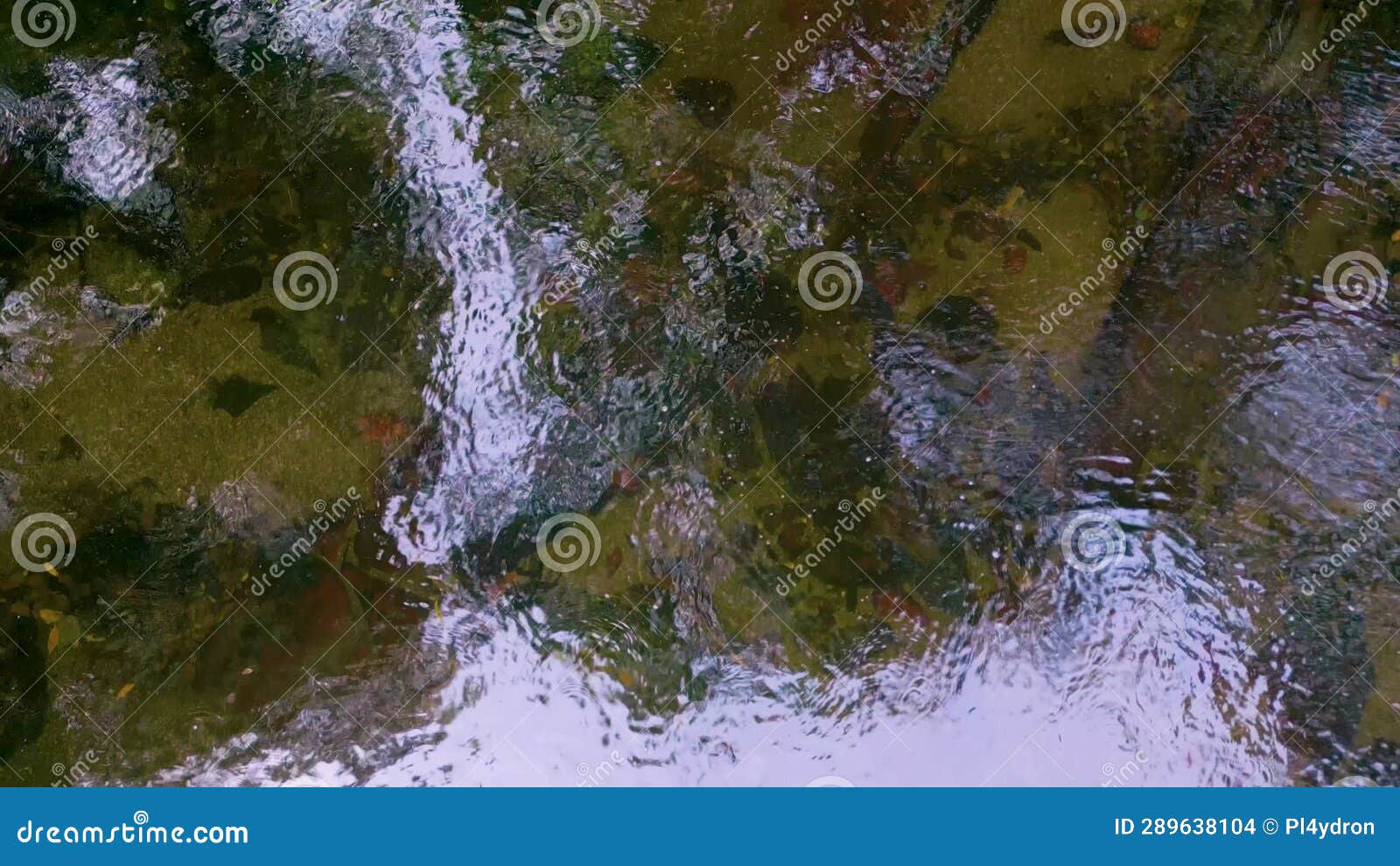 Clear River Water with Reflections in Rainforest Stock Footage - Video ...