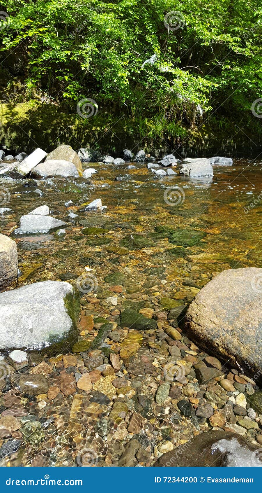 Clear river stock photo. Image of rocks, water, clear - 72344200