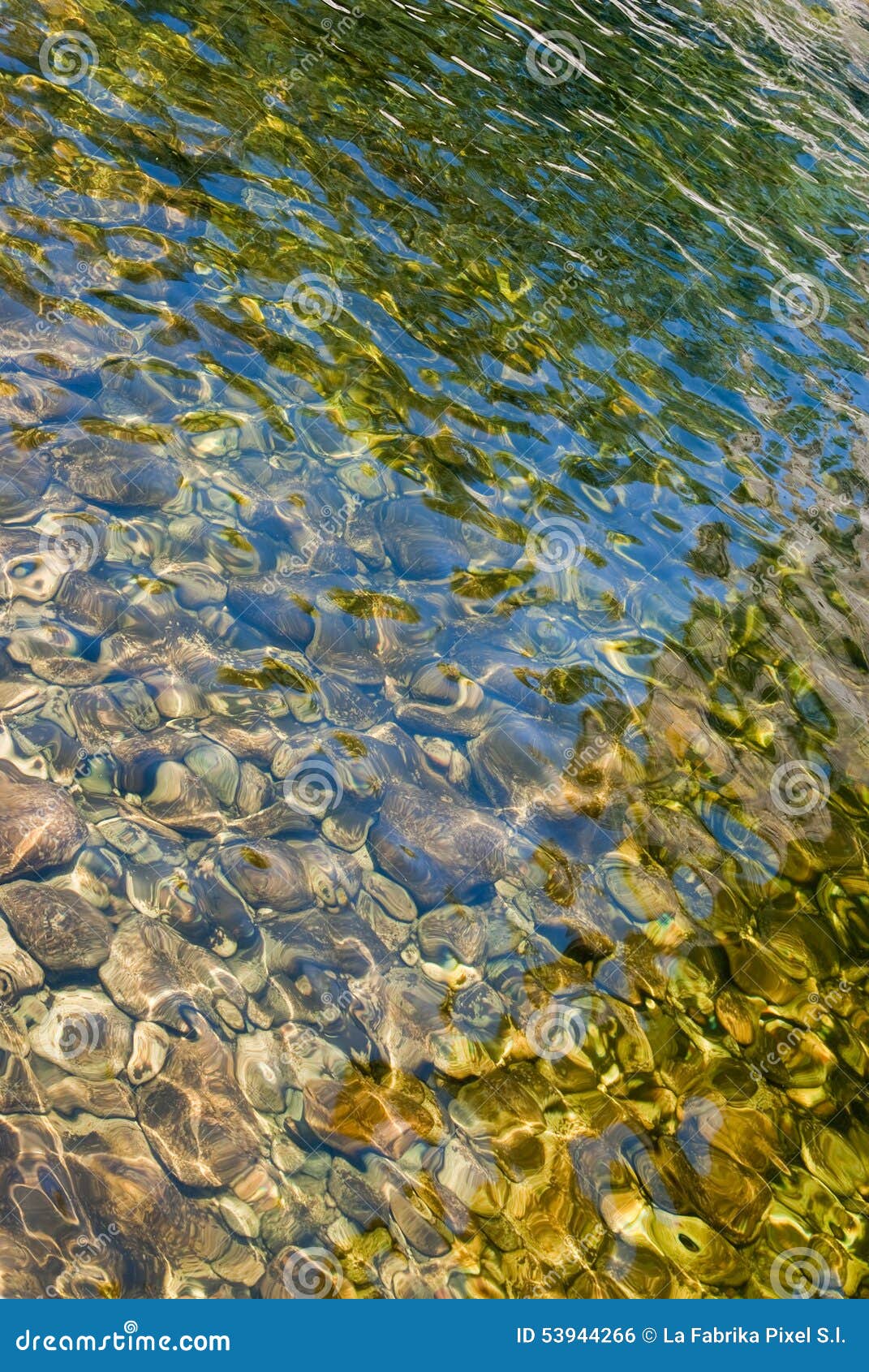 Clear river water stock photo. Image of water, tranquil - 53944266