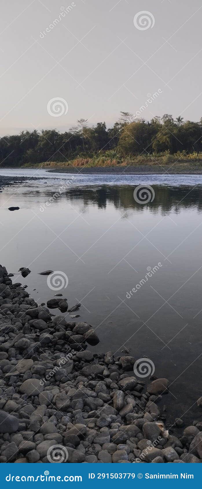 Clear river water stock image. Image of river, stretch - 291503779