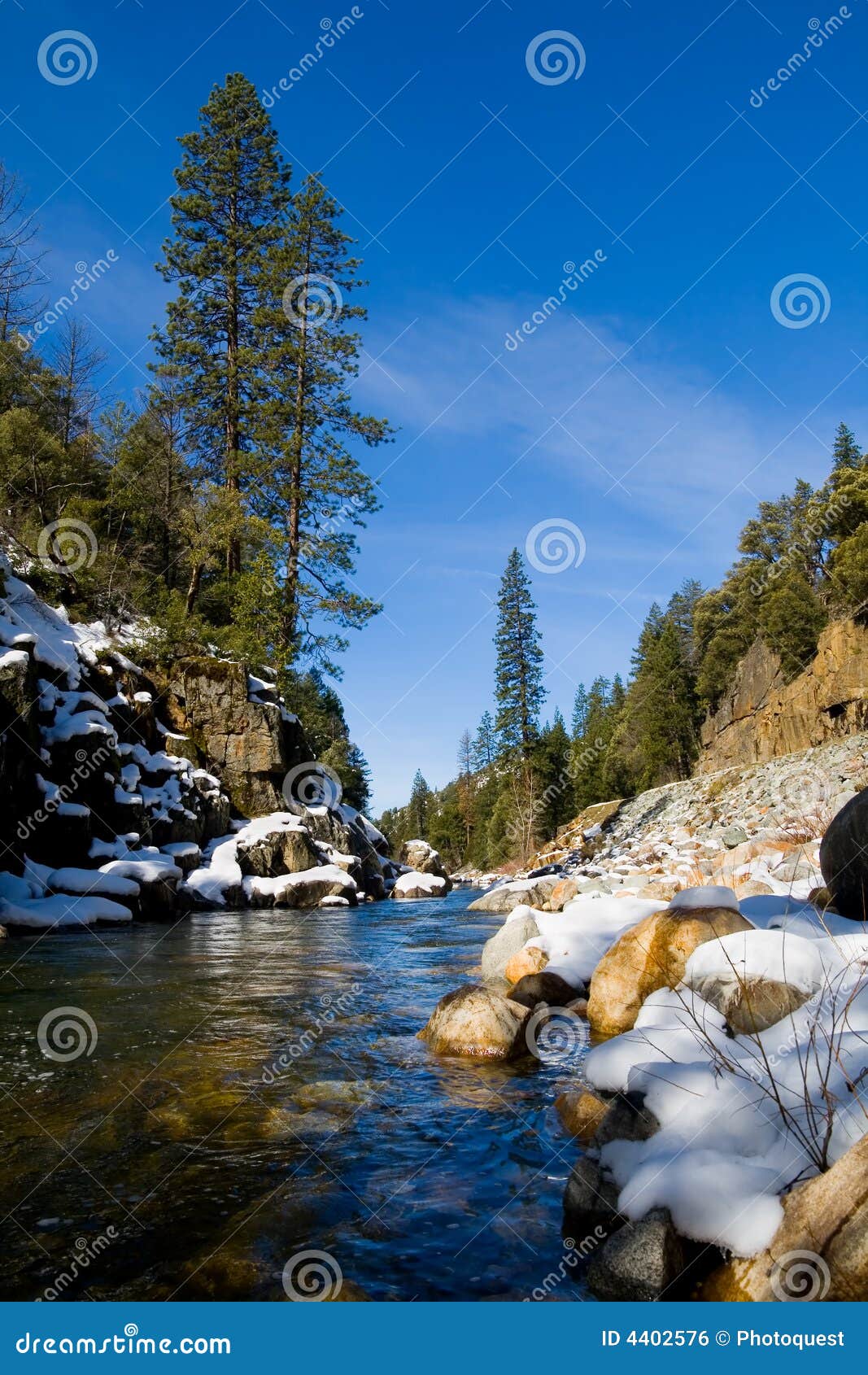 Clear river in the woods stock photo. Image of resort - 4402576