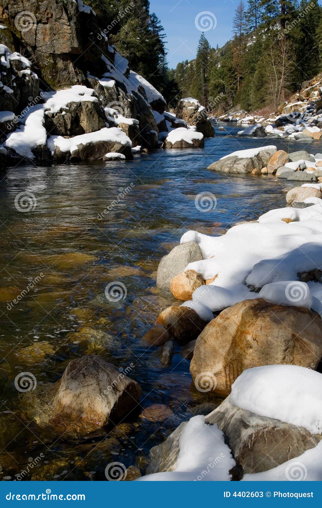 Clear river in the woods stock image. Image of cold, seasons - 4402603