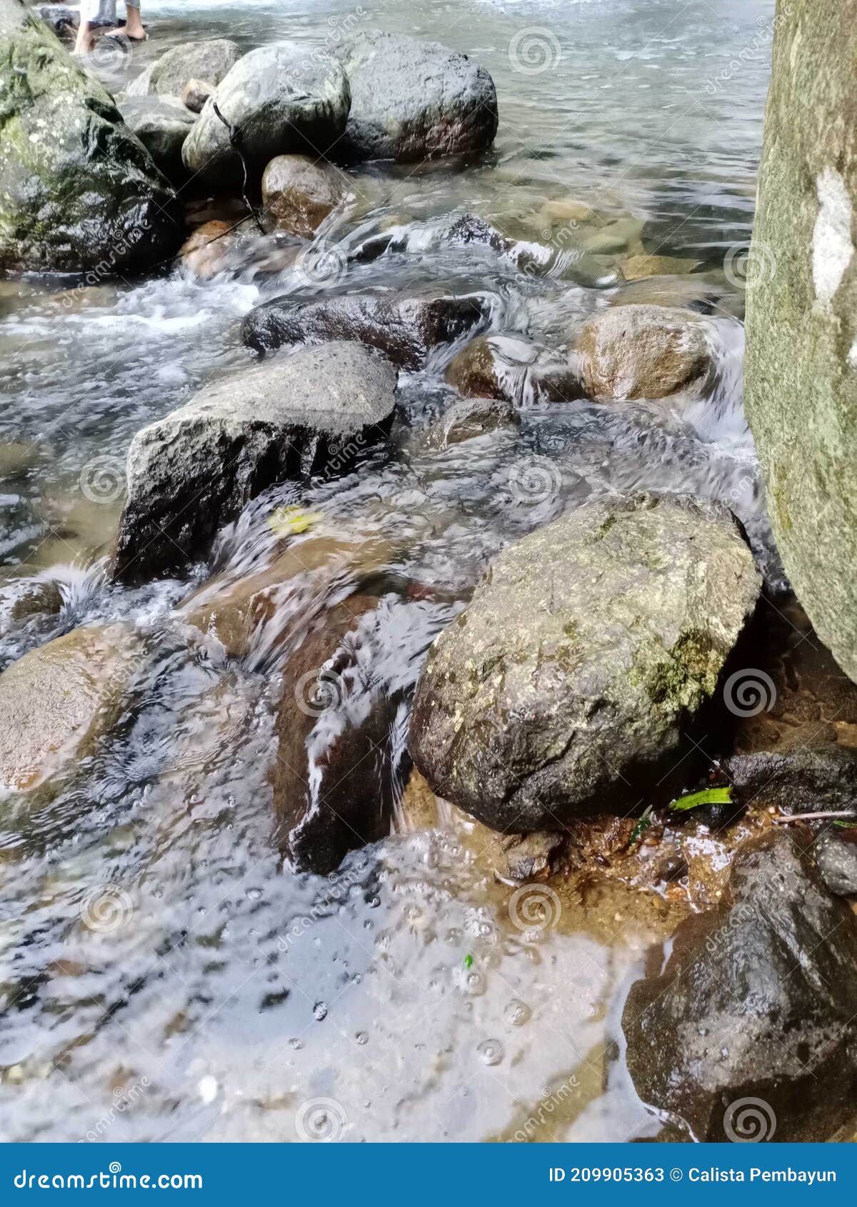 Clear Running Water with Stone Stock Image - Image of rapid, tree ...