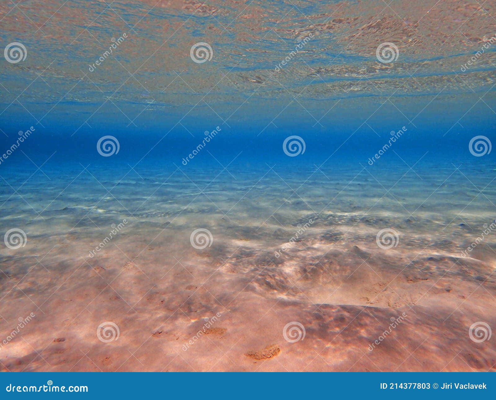 Clear sand under sea water stock image. Image of white - 214377803