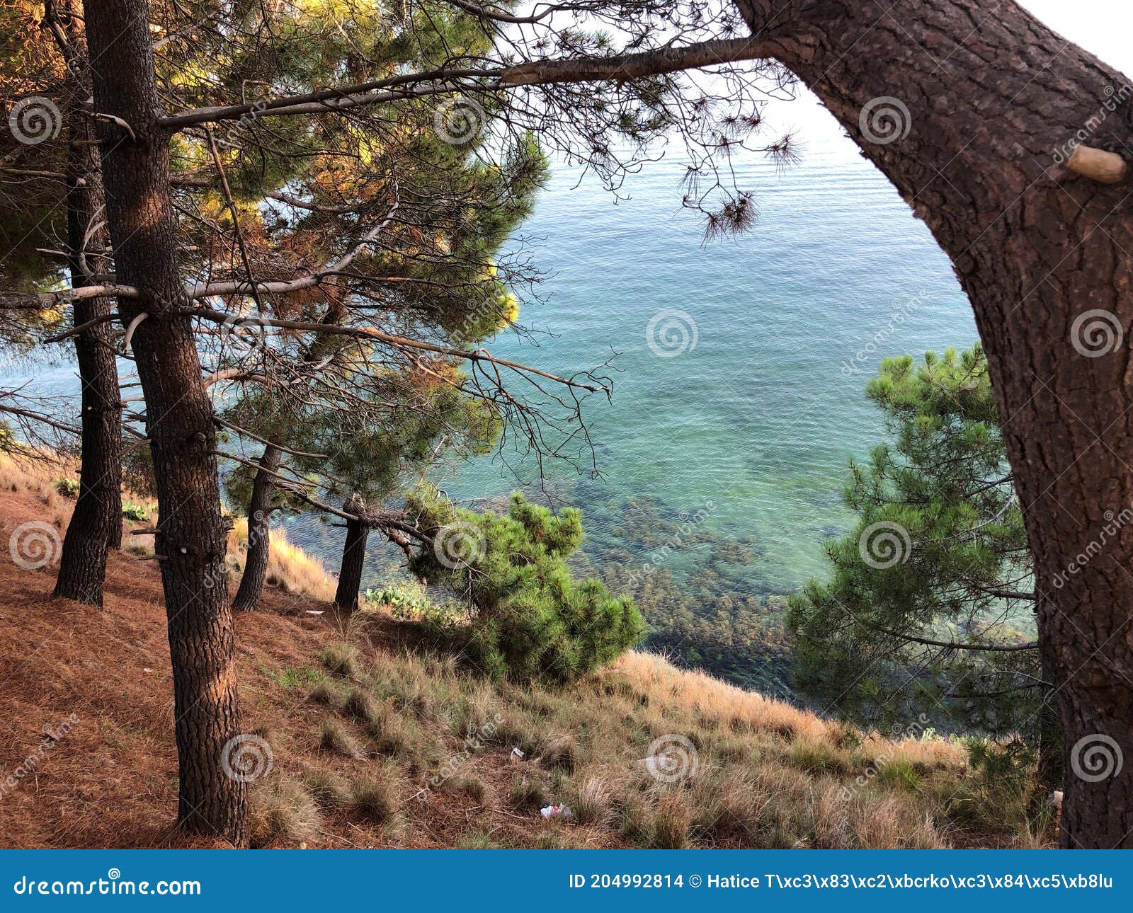 The Clear Sea and the Sloping Cliff-shaped Shore Stock Photo - Image of ...