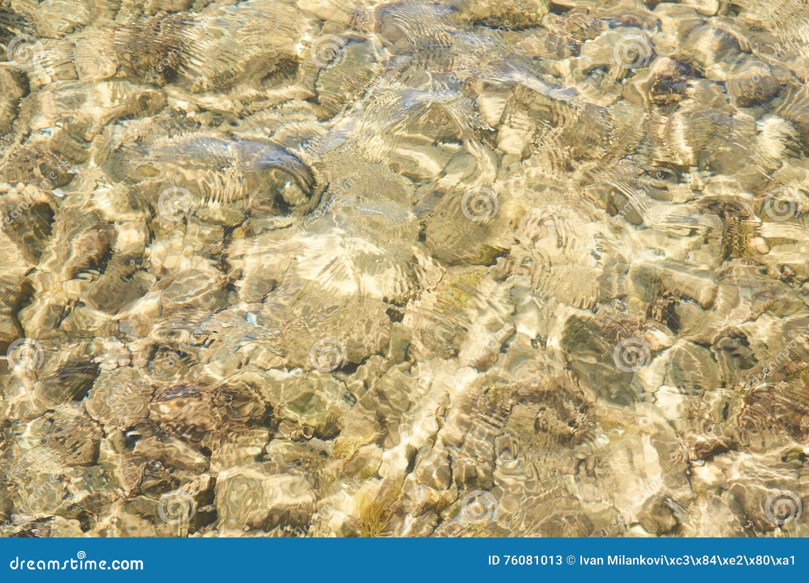 Clear sea stock image. Image of sunlight, ocean, detail - 76081013