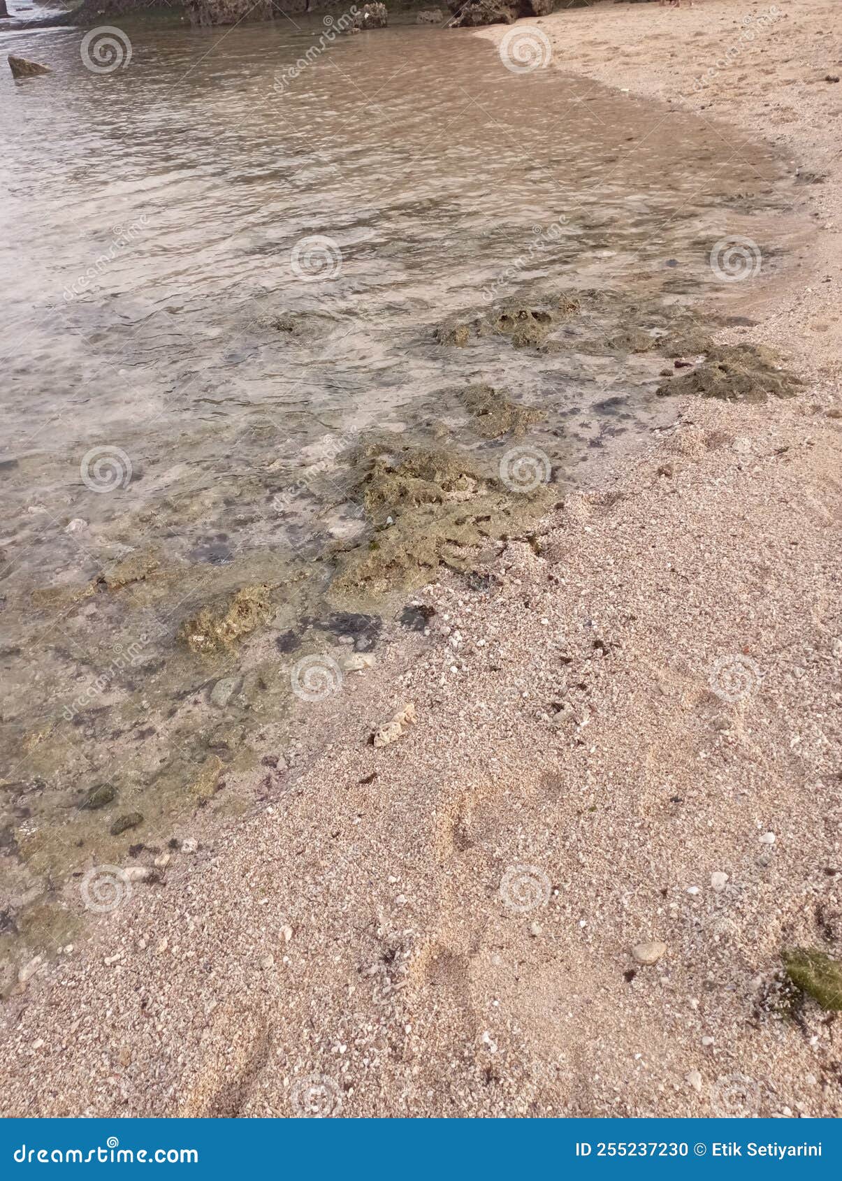 Clear Sea Water on the Coral Beach Stock Photo - Image of beach, coral ...