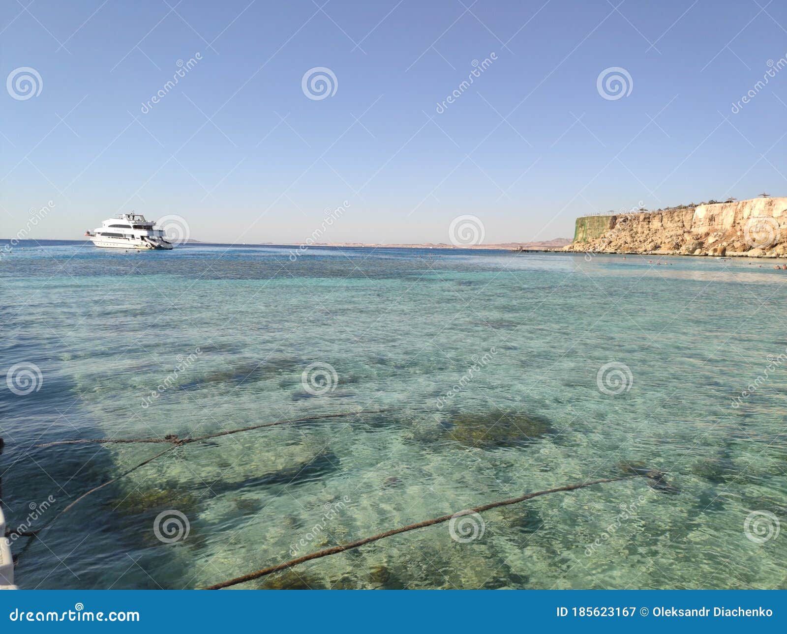 Clear Sea Water and Corral Under Water Stock Image - Image of ocean ...