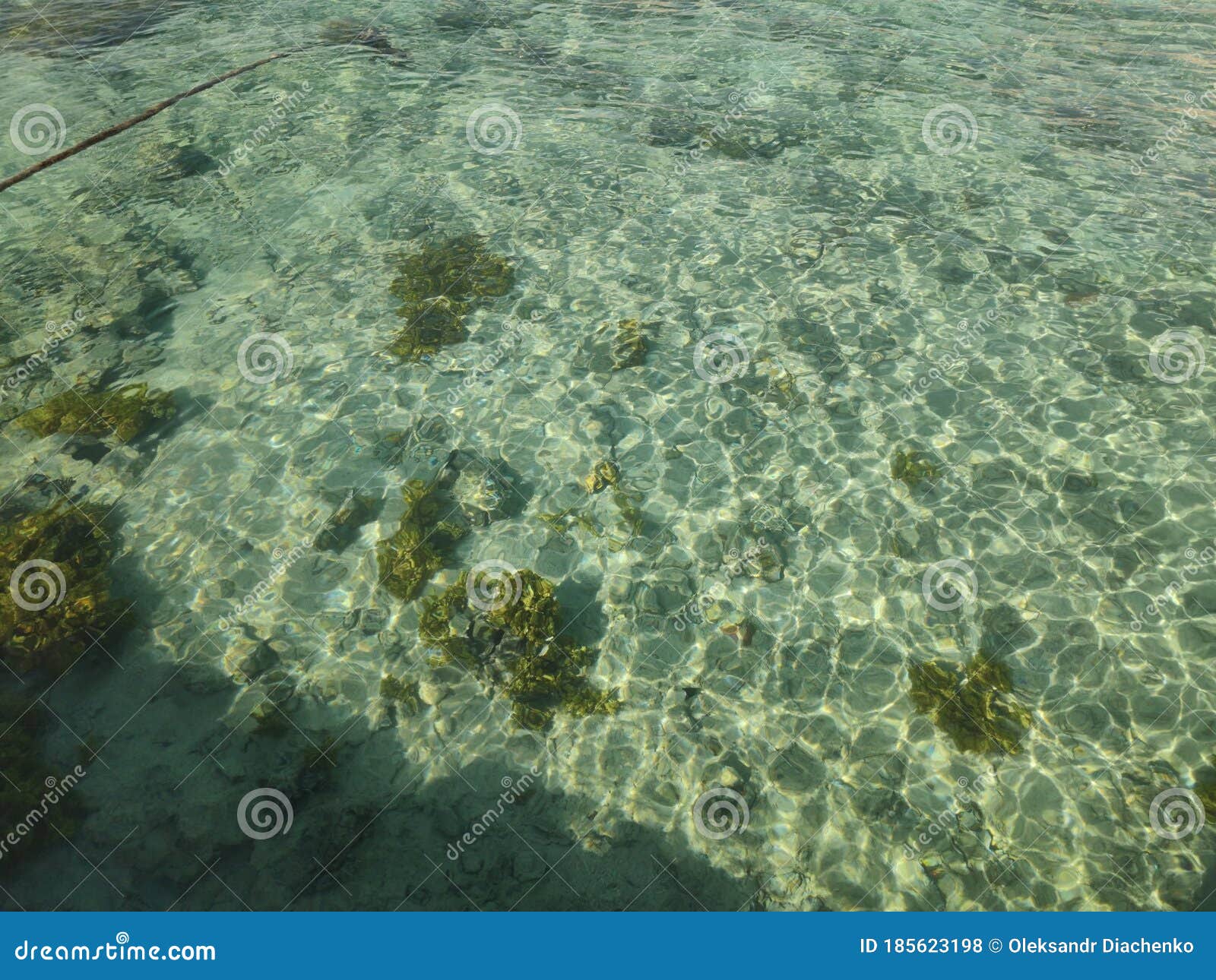 Clear Sea Water and Corral Under Water Stock Photo - Image of global ...
