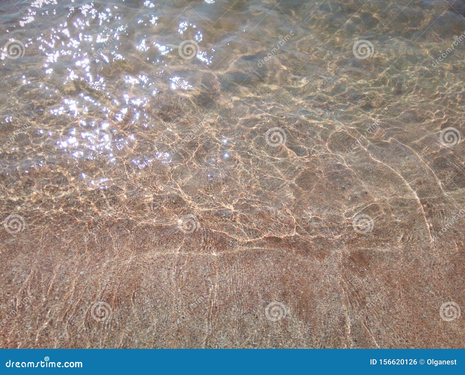 Clear sea water stock photo. Image of sand, black, glare - 156620126