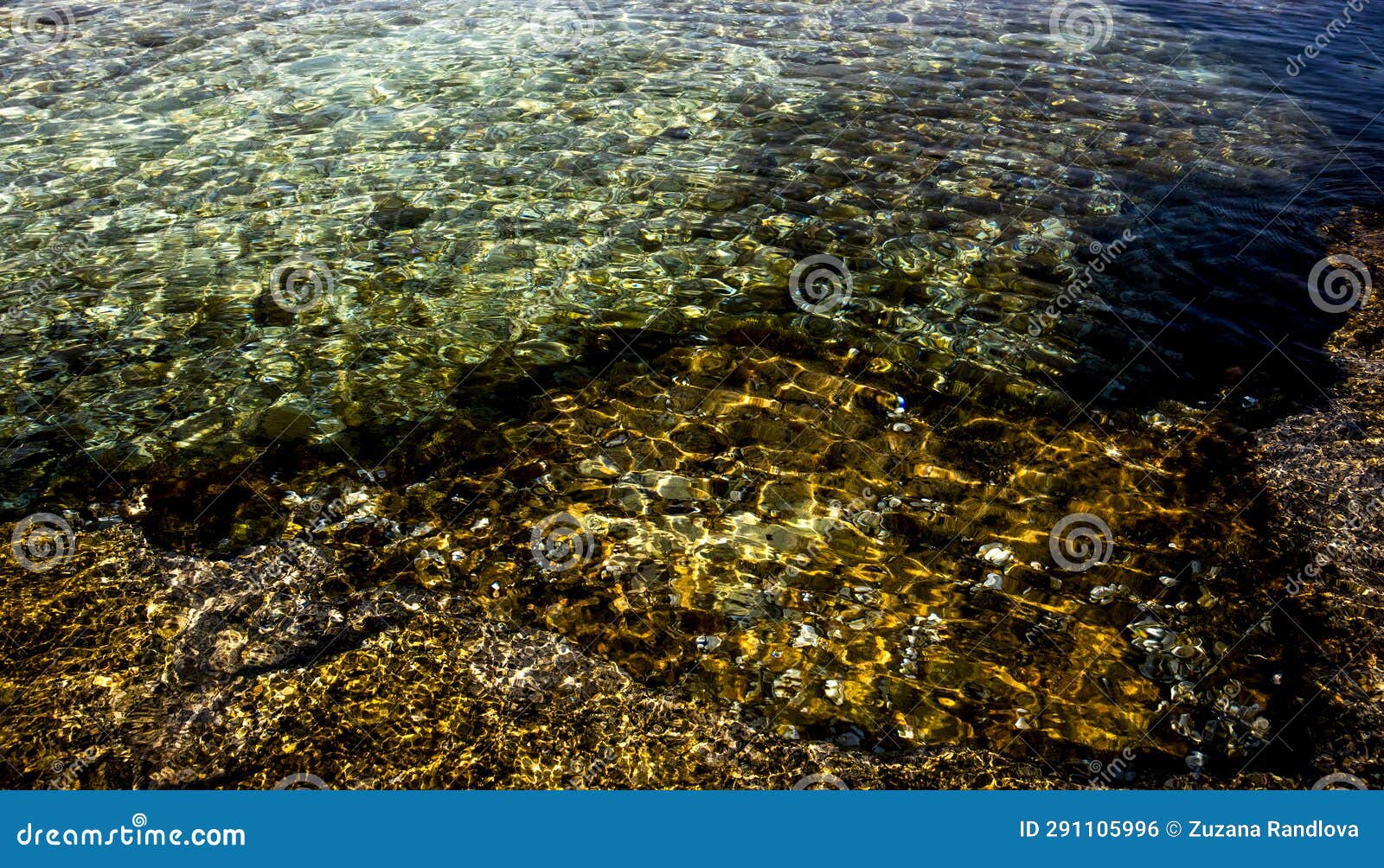 Clear Shallow Water with Rocky Bottom Stock Photo - Image of evening ...