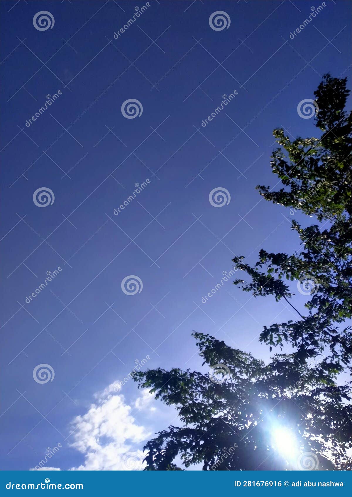 Clear sky in the afternoon stock photo. Image of trees - 281676916