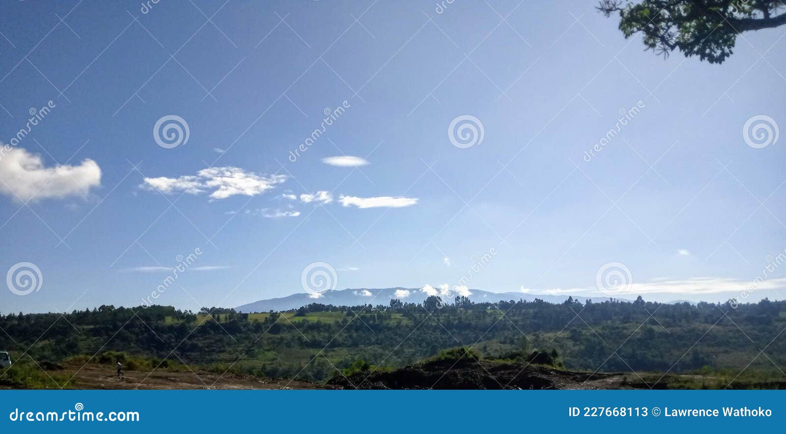 Clear sky less clouds stock image. Image of grassland - 227668113