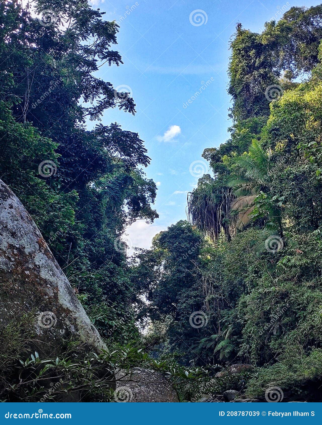 Clear sky on the jungle stock image. Image of hill, wilderness - 208787039